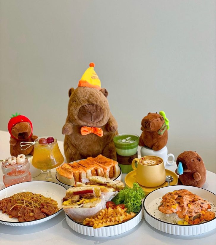 FIRST-EVER CAPYBARA CAFÉ IN JOHOR BAHRU WITH ACTUAL CAPYBARAS, CAPYBARA ...