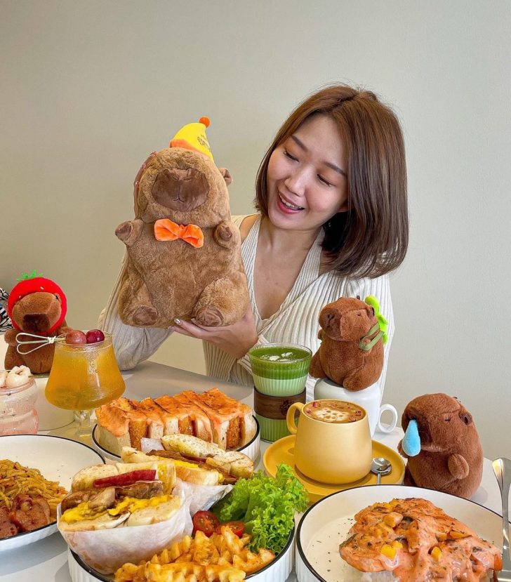 FIRST-EVER CAPYBARA CAFÉ IN JOHOR BAHRU WITH ACTUAL CAPYBARAS, CAPYBARA ...