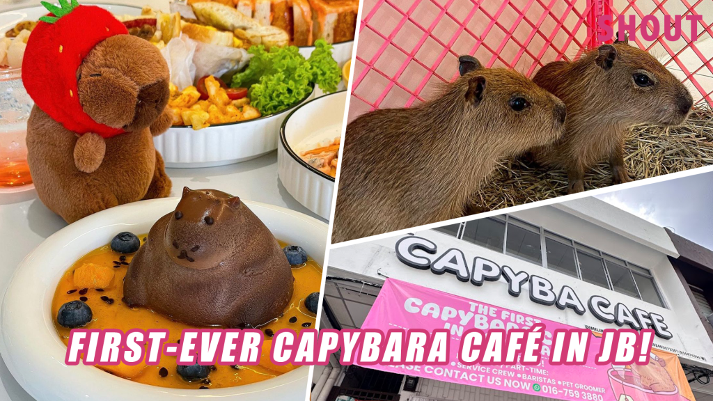 FIRST-EVER CAPYBARA CAFÉ IN JOHOR BAHRU WITH ACTUAL CAPYBARAS, CAPYBARA-THEMED DESSERTS & FREE ...