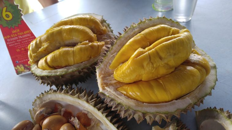 UNLIMITED DURIAN BUFFET IN JOHOR BAHRU FOR JUST ~$8 SGD WITH NO TIME ...