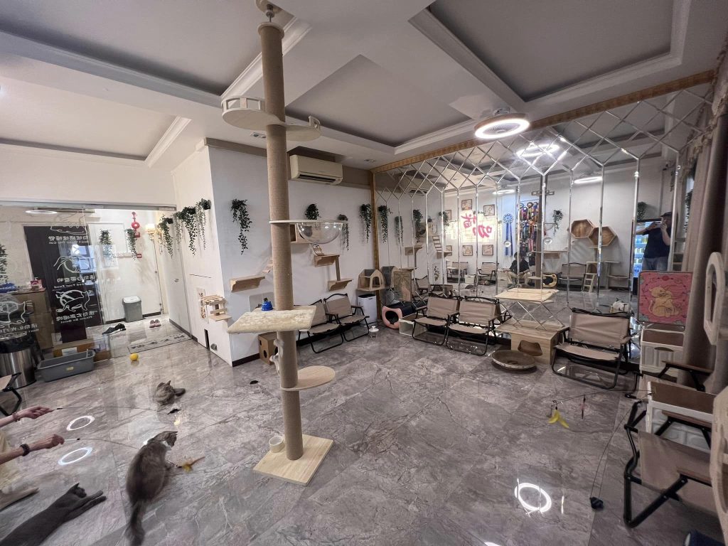 NEW 2-STOREY LOK LOK BUFFET RESTAURANT WITH IN-HOUSE CAT CAFÉ & FREE ...