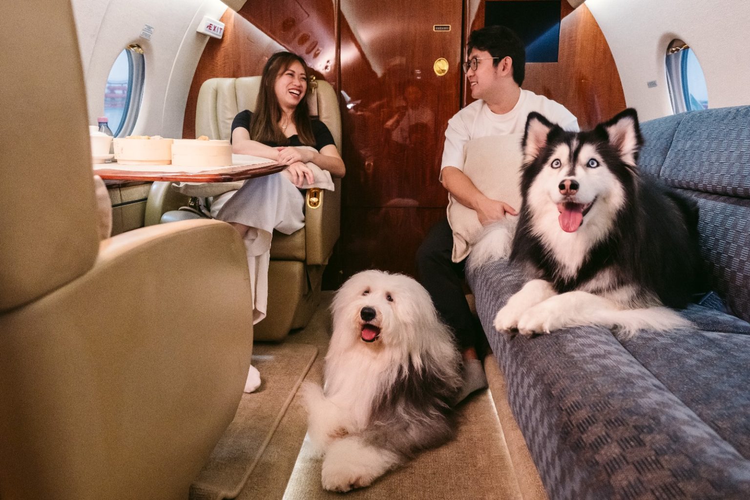 “SINGAPAW AIRLINES” PRIVATE JET SERVICE FOR PETS FROM SINGAPORE TO ANY ...