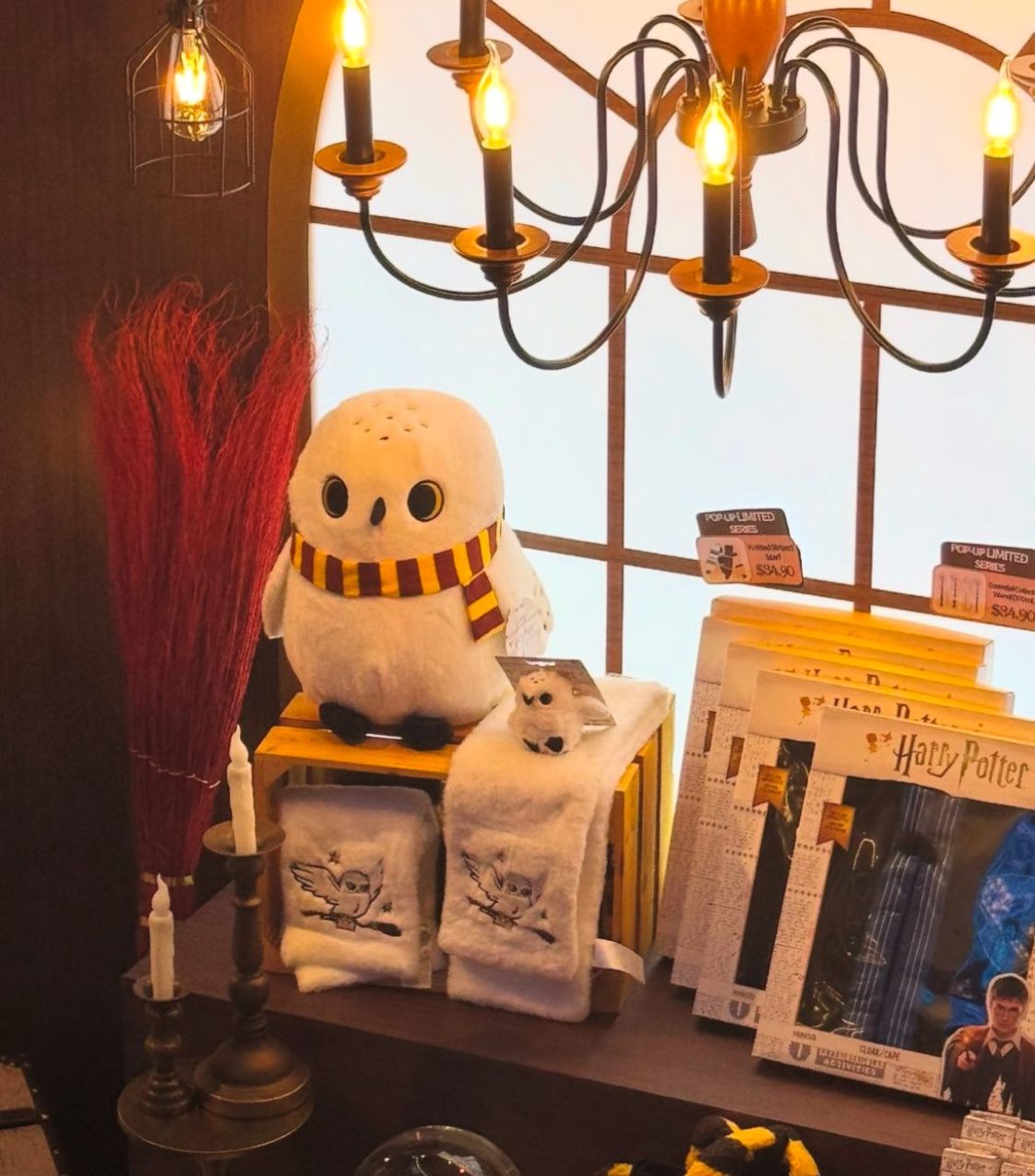 HARRY POTTER X MINISO POP-UP STORE FINALLY OPENS IN SINGAPORE WITH OVER ...