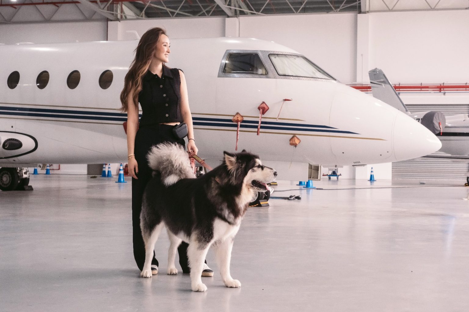 “SINGAPAW AIRLINES” PRIVATE JET SERVICE FOR PETS FROM SINGAPORE TO ANY ...
