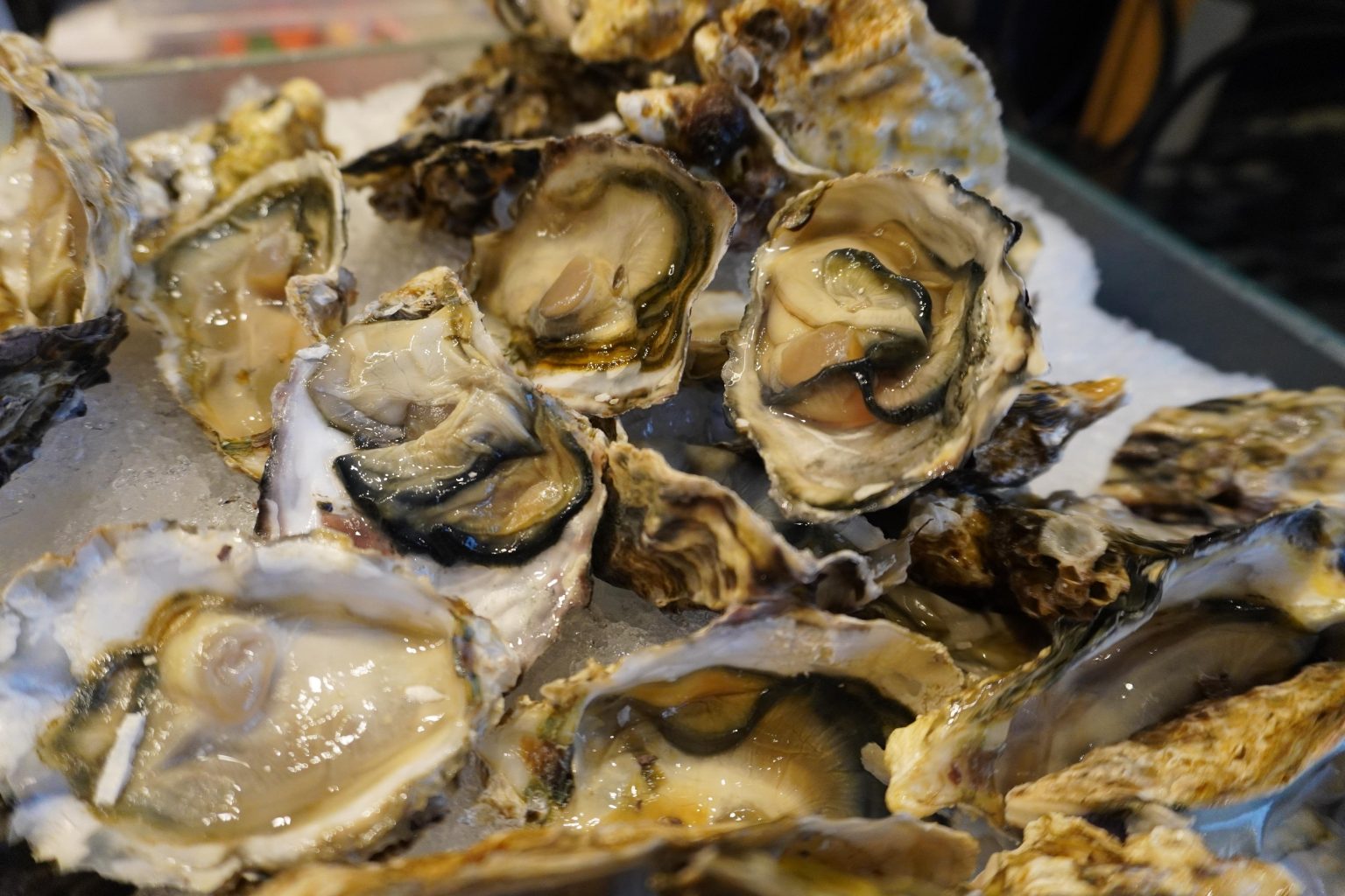 1-FOR-1 ALL-DAY HALAL SEAFOOD BUFFET AT THE MALAYAN COUNCIL FROM $24 ...