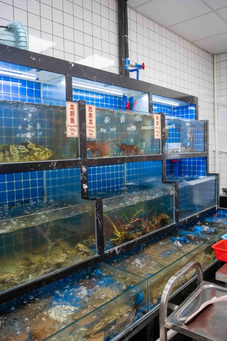 SINGAPORE’S FIRST LIVE SEAFOOD MARKET HOTPOT: PICK YOUR OWN CRABS ...