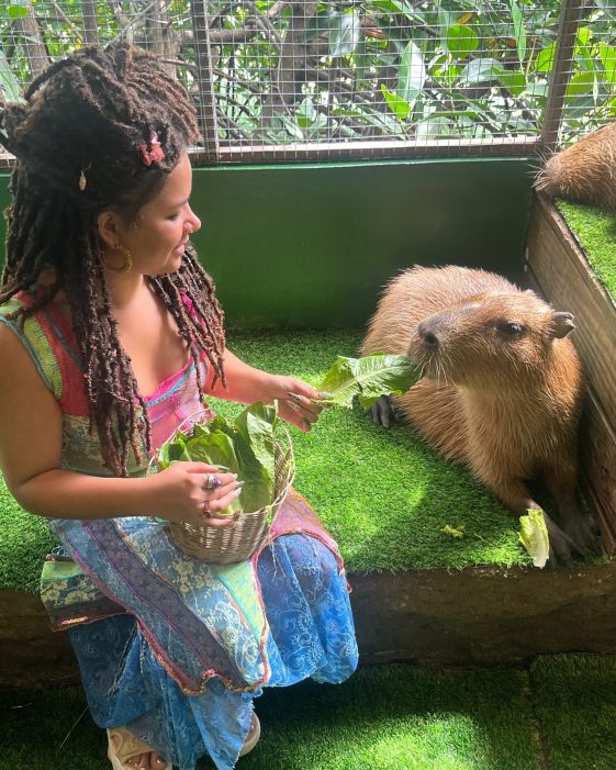 NEW CAPYBARA-THEMED CAFÉ IN BANGKOK HAS FRIENDLY CAPYBARAS & ADORABLE ...