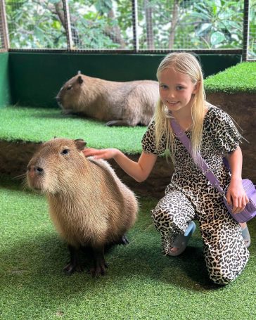NEW CAPYBARA-THEMED CAFÉ IN BANGKOK HAS FRIENDLY CAPYBARAS & ADORABLE CAPYBARA MERCHANDISE! - Shout