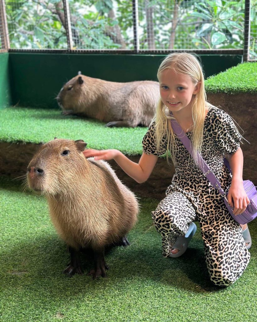 NEW CAPYBARA-THEMED CAFÉ IN BANGKOK HAS FRIENDLY CAPYBARAS & ADORABLE ...