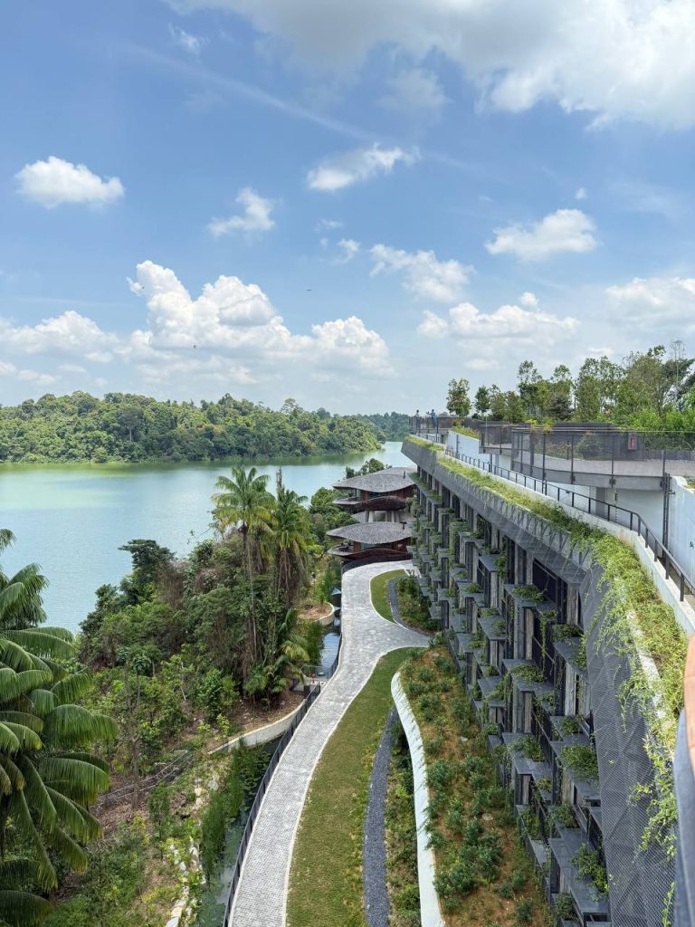 MANDAI RAINFOREST RESORT IS NOW OPEN: HAS PRIVATE TREEHOUSE HUTS, BIRD ...