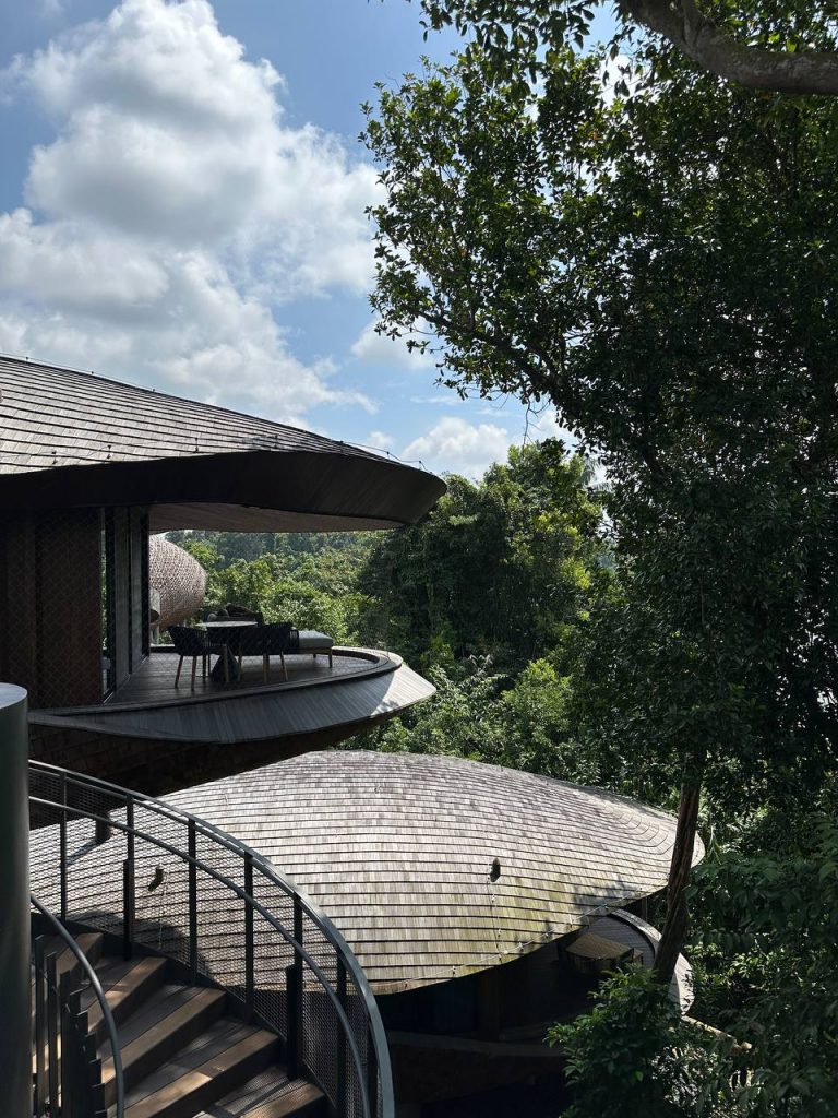 MANDAI RAINFOREST RESORT IS NOW OPEN: HAS PRIVATE TREEHOUSE HUTS, BIRD ...