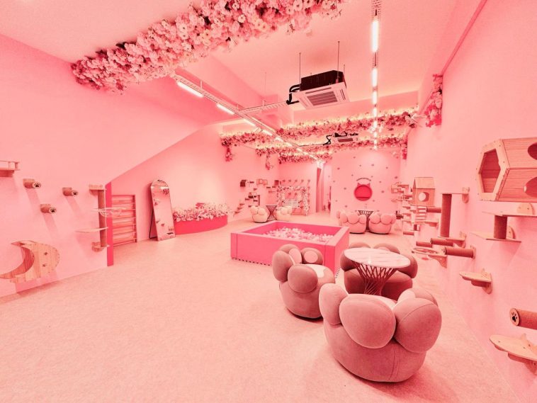 10 ANIMAL & PET CAFÉS TO VISIT IN JB: INCLUDING CAPYBARAS, ALPACAS ...