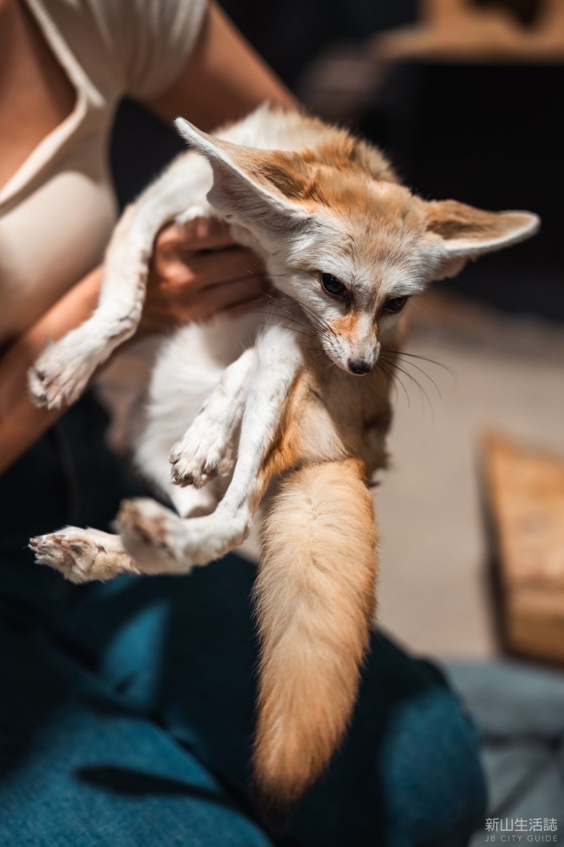 NEW LARGEST INDOOR PETTING FARM IN JOHOR BAHRU HAS OVER 40 ANIMALS ...