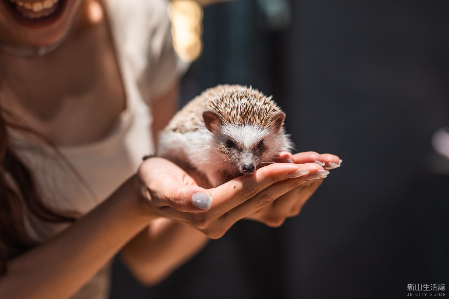 NEW LARGEST INDOOR PETTING FARM IN JOHOR BAHRU HAS OVER 40 ANIMALS ...