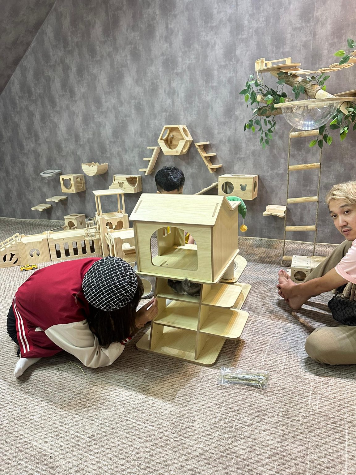 FIRST-EVER CHINCHILLA & BABY KANGAROO CAFÉ IN JOHOR BAHRU WITH FREE ...