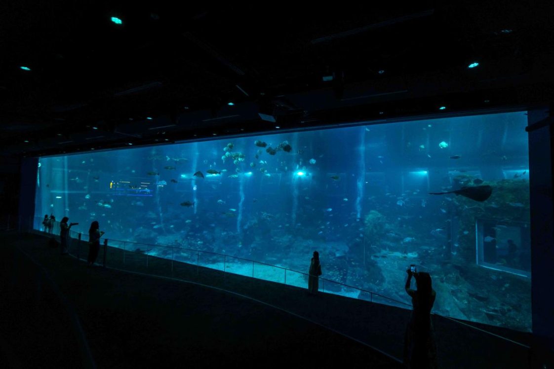NEW OCEANARIUM OPENS AT SENTOSA ON 24TH JULY 2025: LIFE-SIZED ...