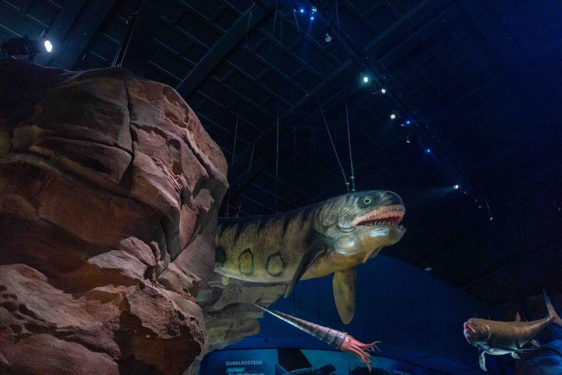 NEW OCEANARIUM OPENS AT SENTOSA ON 24TH JULY 2025: LIFE-SIZED ...