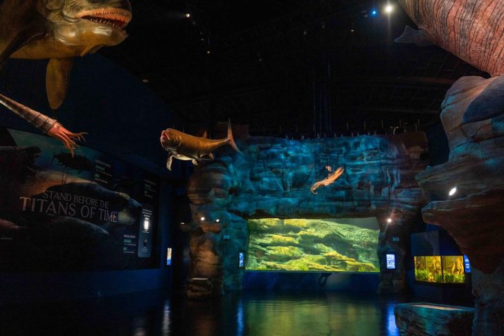 NEW OCEANARIUM OPENS AT SENTOSA ON 24TH JULY 2025: LIFE-SIZED ...