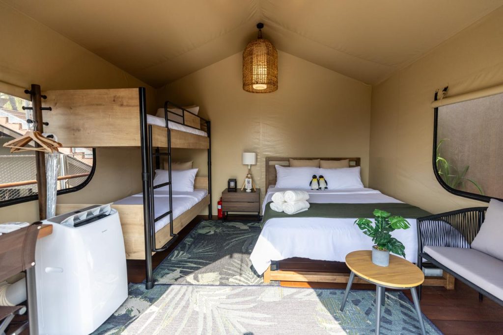 NEW ALL-INCLUSIVE LUXURY CAMPING-THEMED STAYCATION IN PRIVATE SAFARI ...