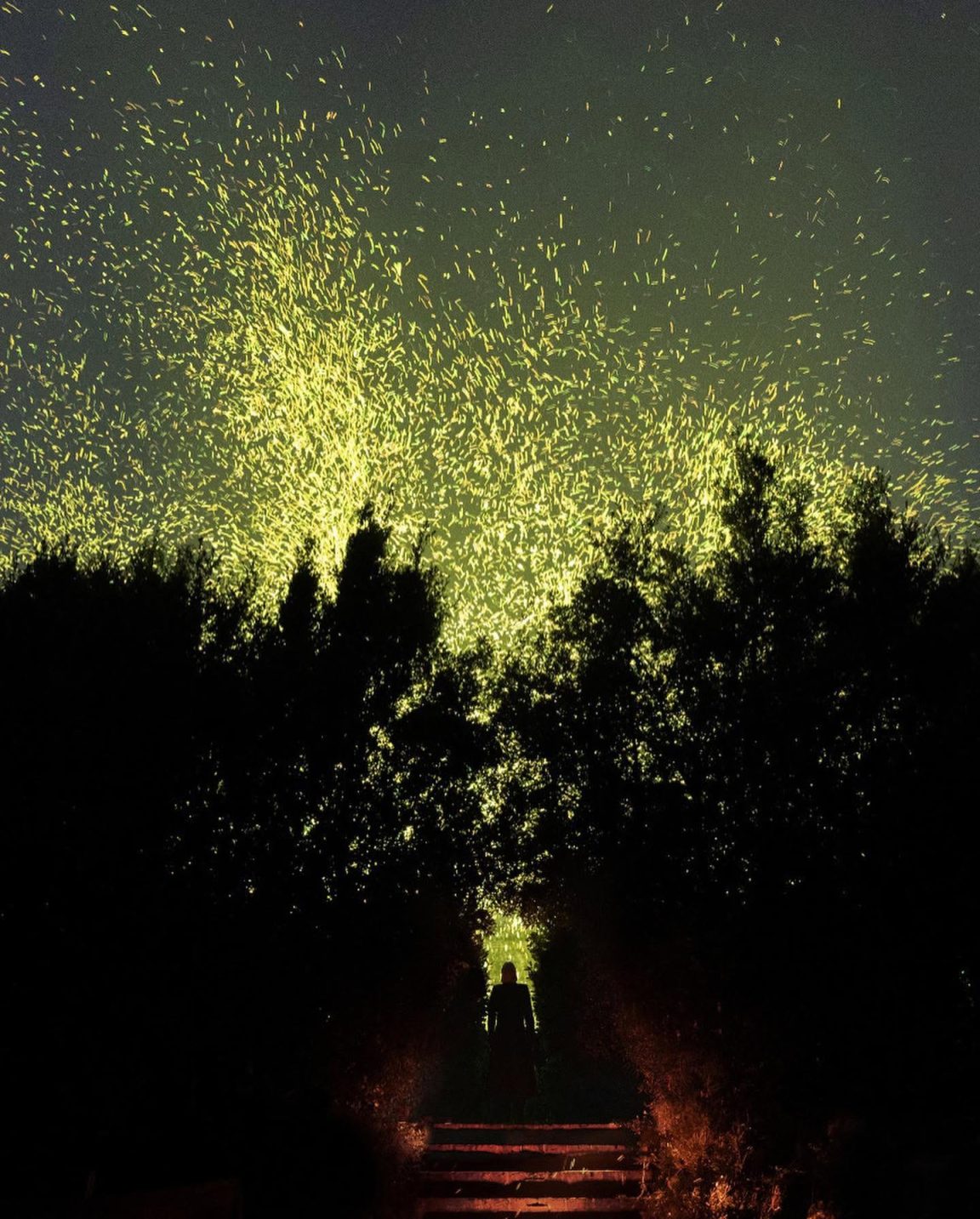 NEW FREE “FLOATING” LIGHT SHOW INSPIRED BY FIREFLIES AT GARDENS BY THE ...