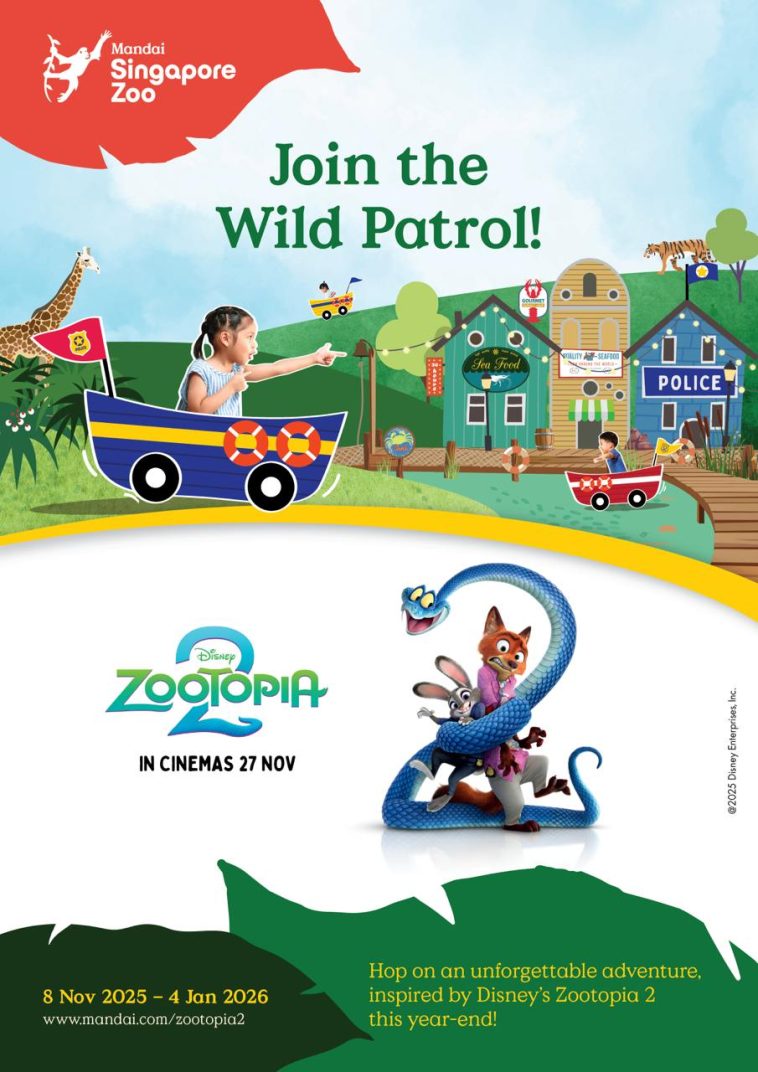 NEW “AURORA” LIGHTS IN A CAVE, ZOOTOPIA 2-THEMED FESTIVAL & 8-METRE ...